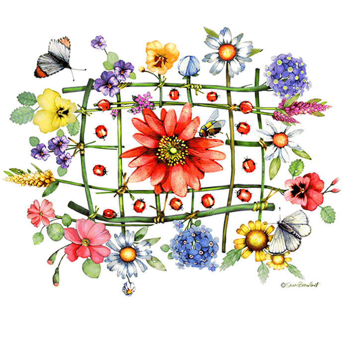 Watercolor Slideshow